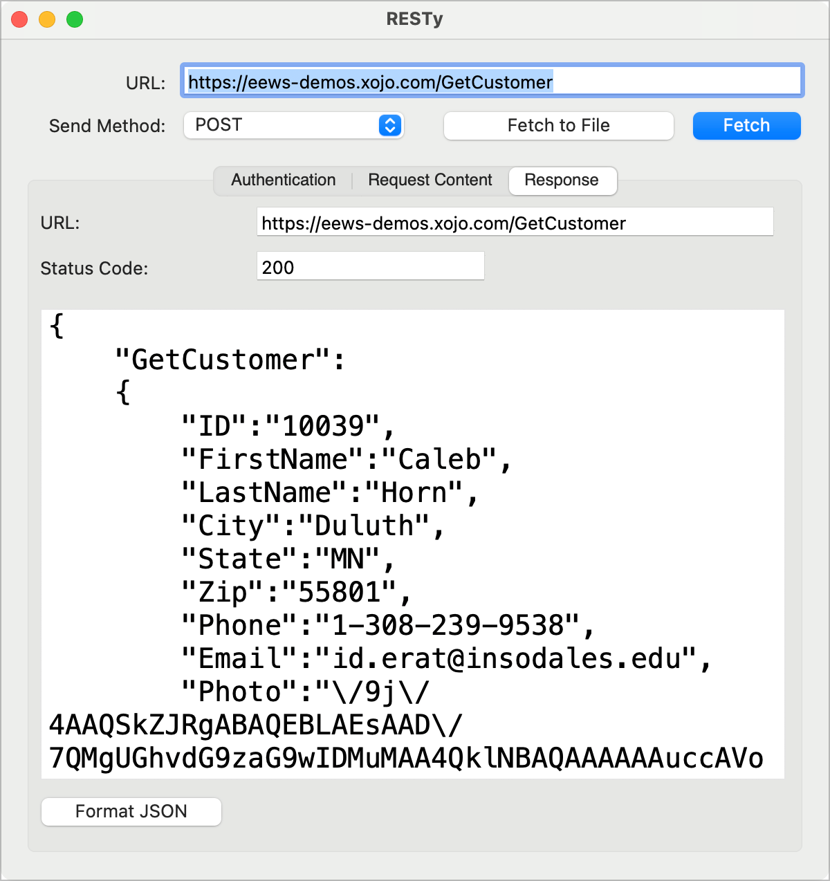 Testing REST-based Web Services – Xojo Programming Blog